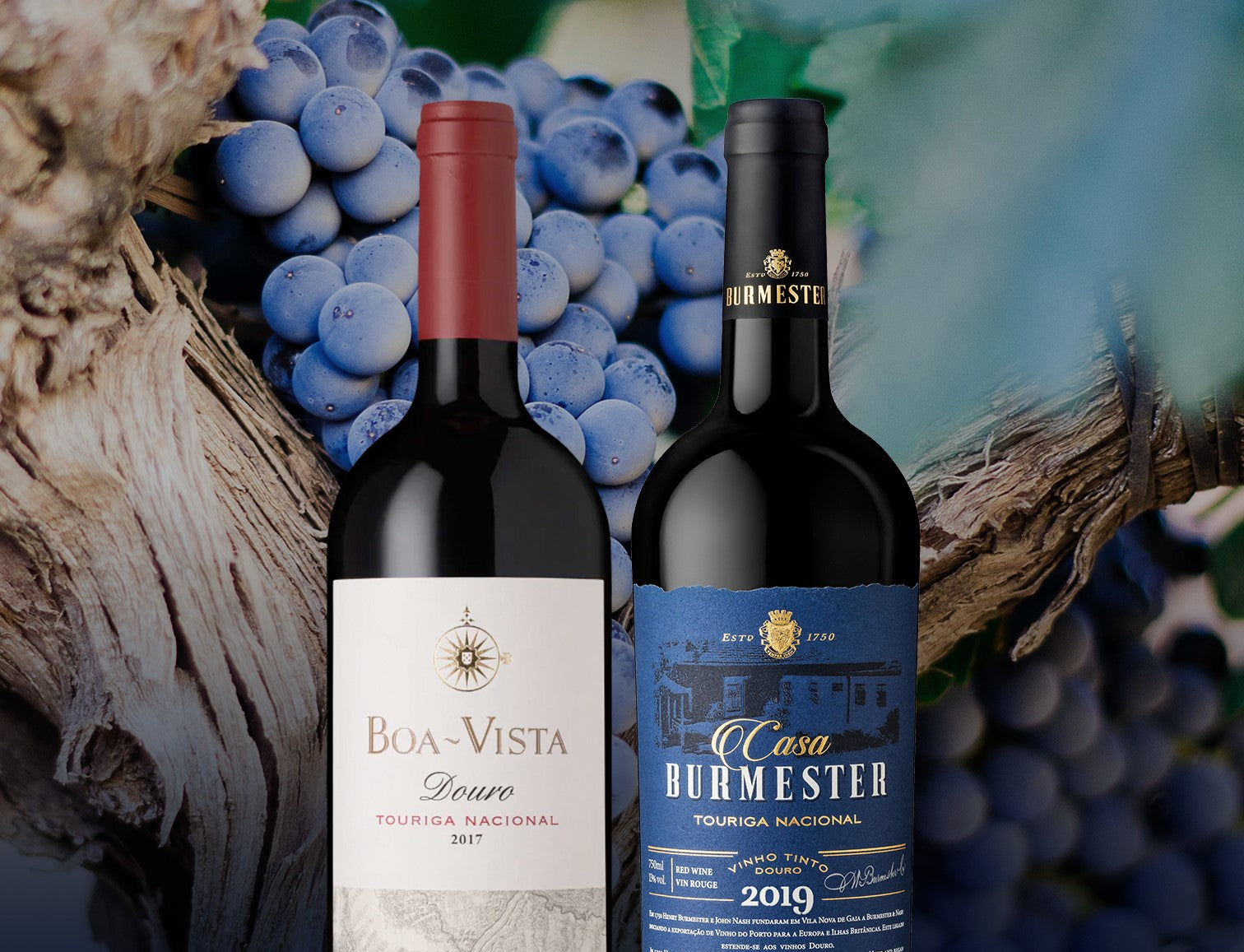 TOURIGA NACIONAL: MEET THE MOST EMBLEMATIC PORTUGUESE GRAPE VARIETY ...